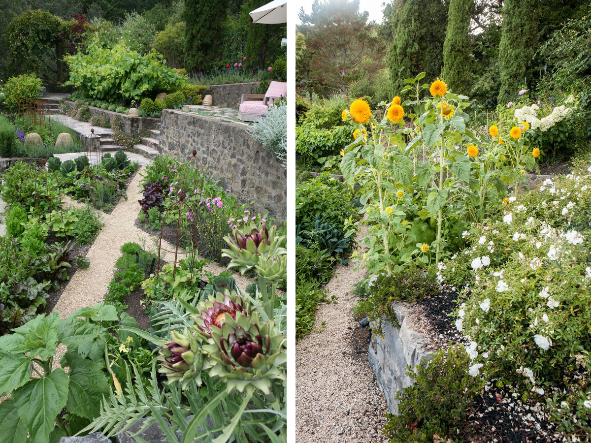 How to Create a Garden That Pleases the Whole Family