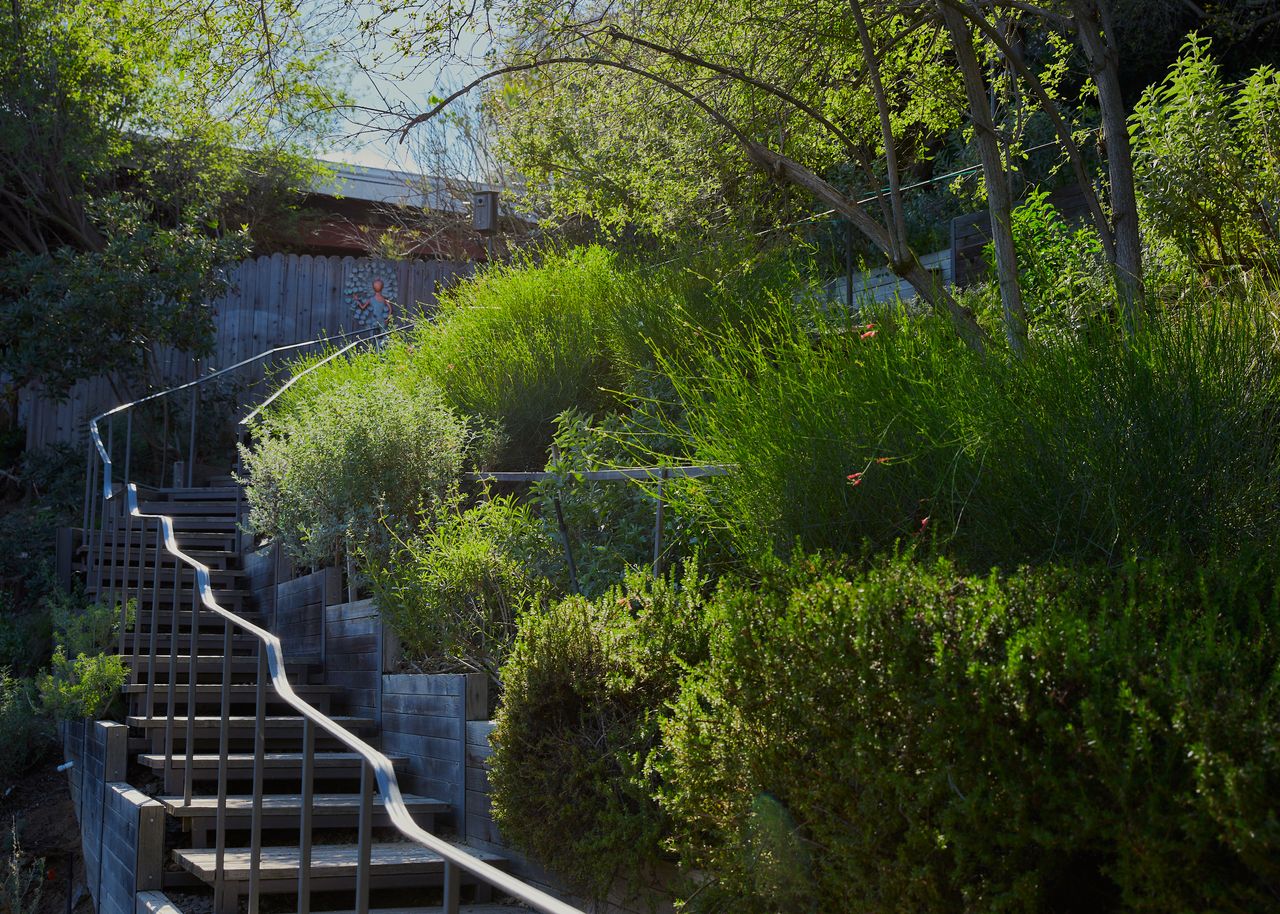 Victorian-Style Houses, Hi-Tech Feeders and 10-Foot-Wide Reflecting ...