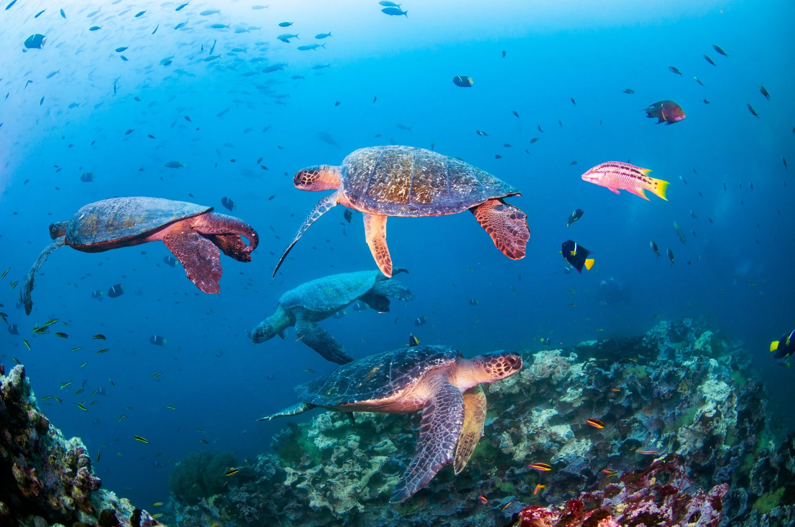 Qatar’s Tourism Boom Drives Hospitality Growth in 2024 | Kanebridge News